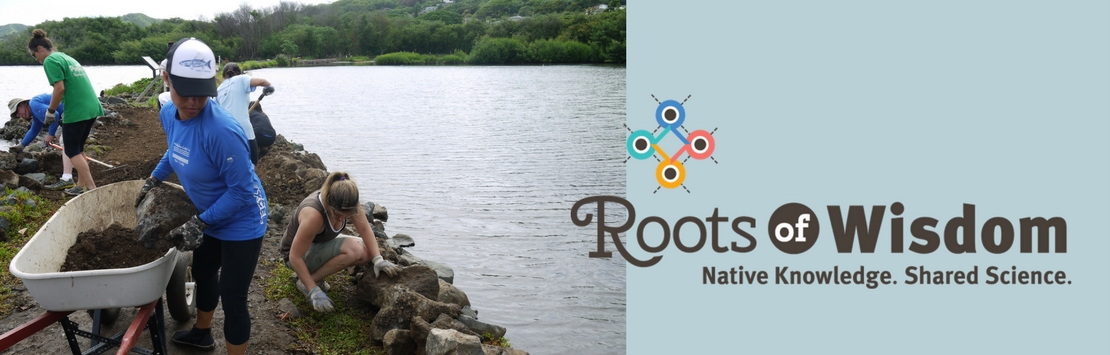 "Roots of Wisdom" Exhibit Coming to MSU's Meyer Library in 2019 ...