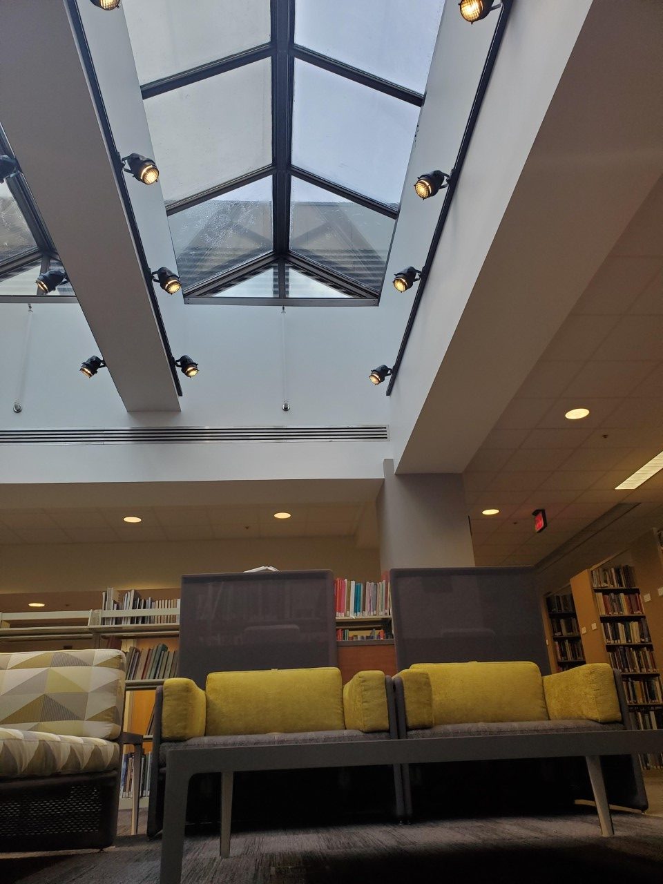 Skylights, Sky Bright - Library Notes