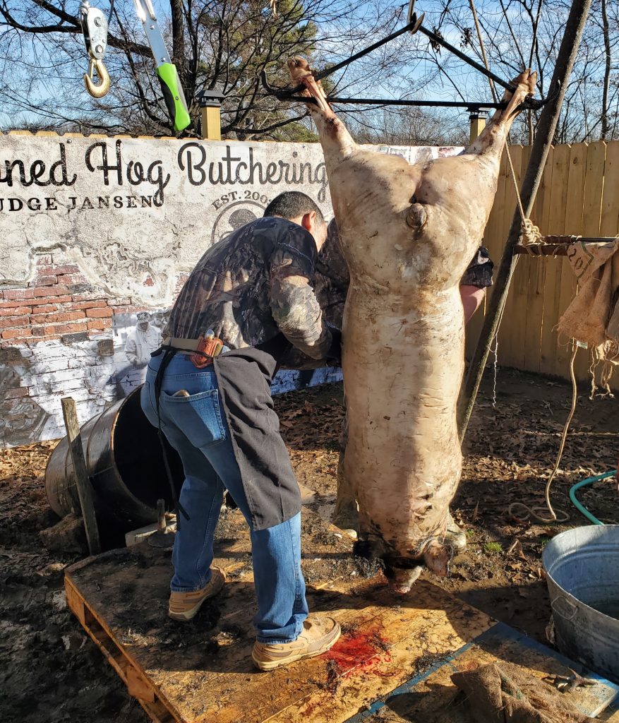 Smithsonian and OSI Attend Hog Butchering in Pocahontas AR - Library Notes